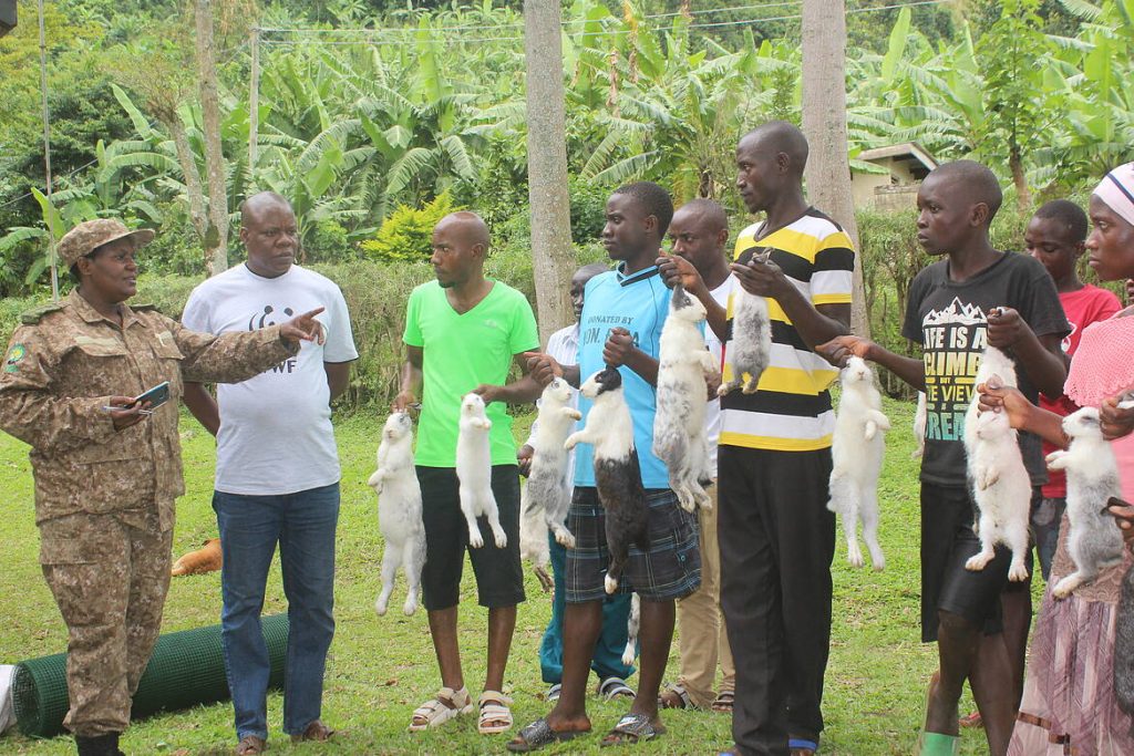 Youth Livelihood Programme - presidentialinitiatives.go.ug