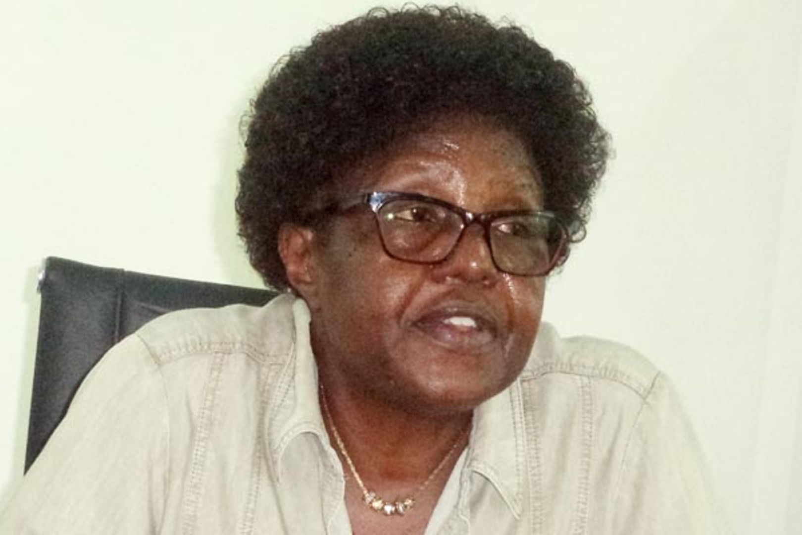 Presidential Initiative on Banana Industrial Development Project Starts ...